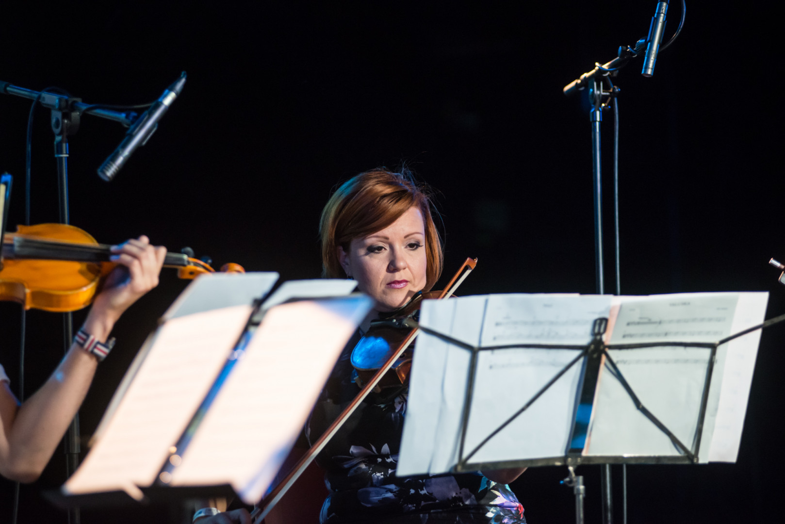 Víg Mihály: 15 years of the Werckmeister Harmonies, Cseh Tamás songs ...
