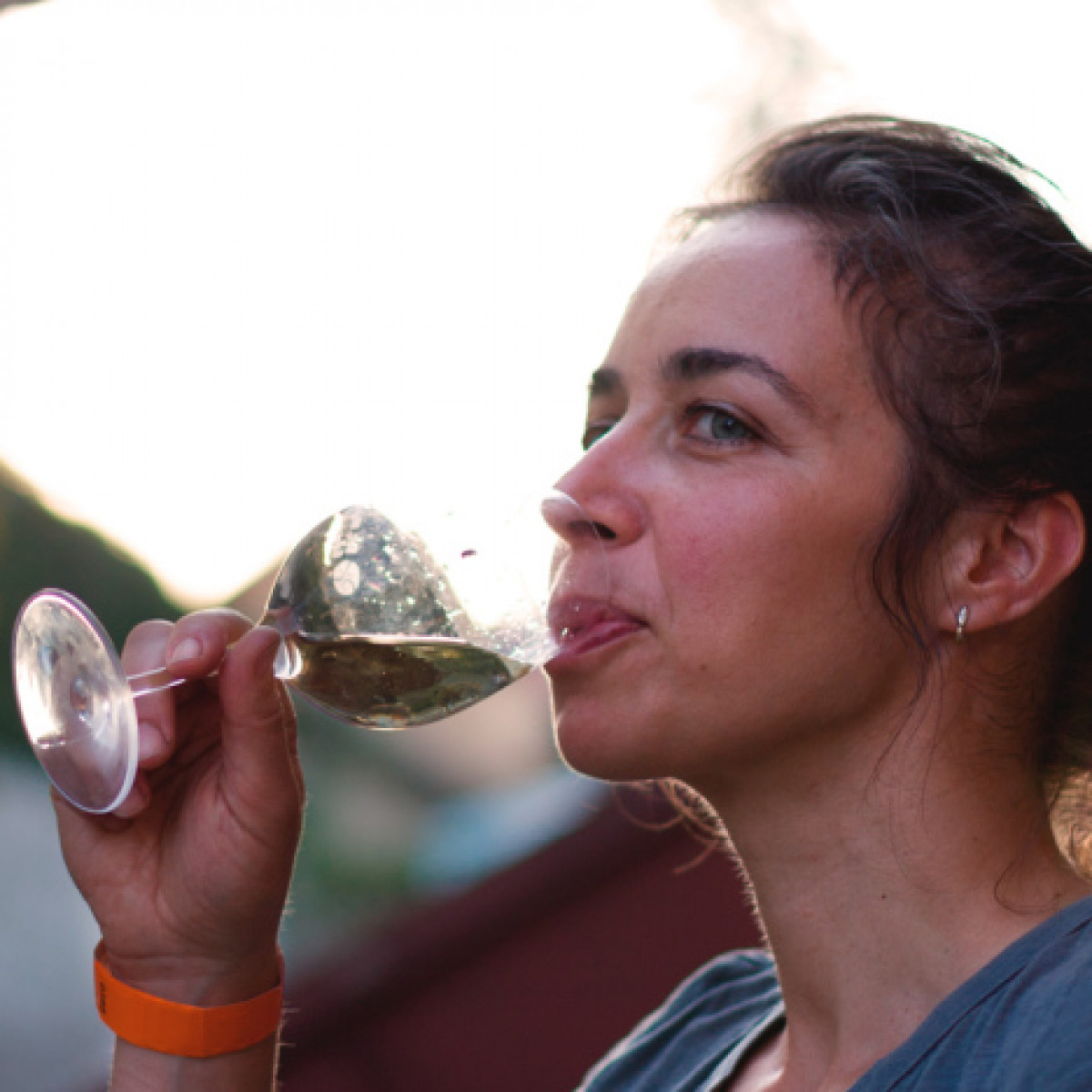 Wine, Flush, Bénye....Tasting - A38 Ship